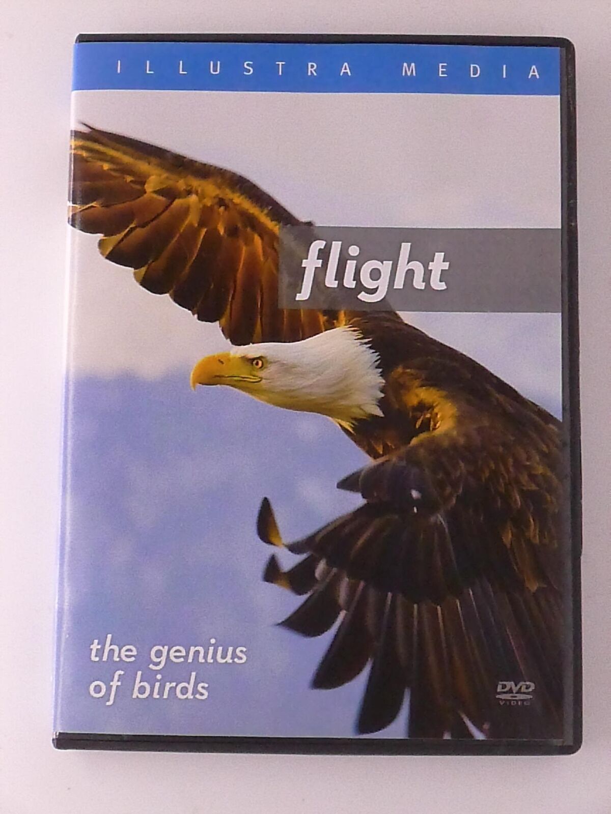 Flight - The Genius of Birds (DVD) - K6 – DVDs4Me